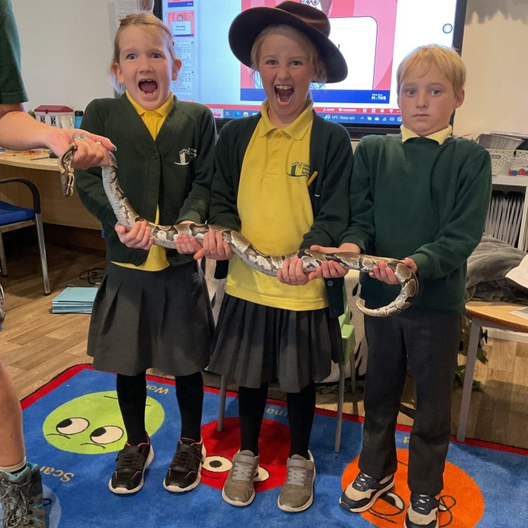 Willow Class - Kenton Primary School